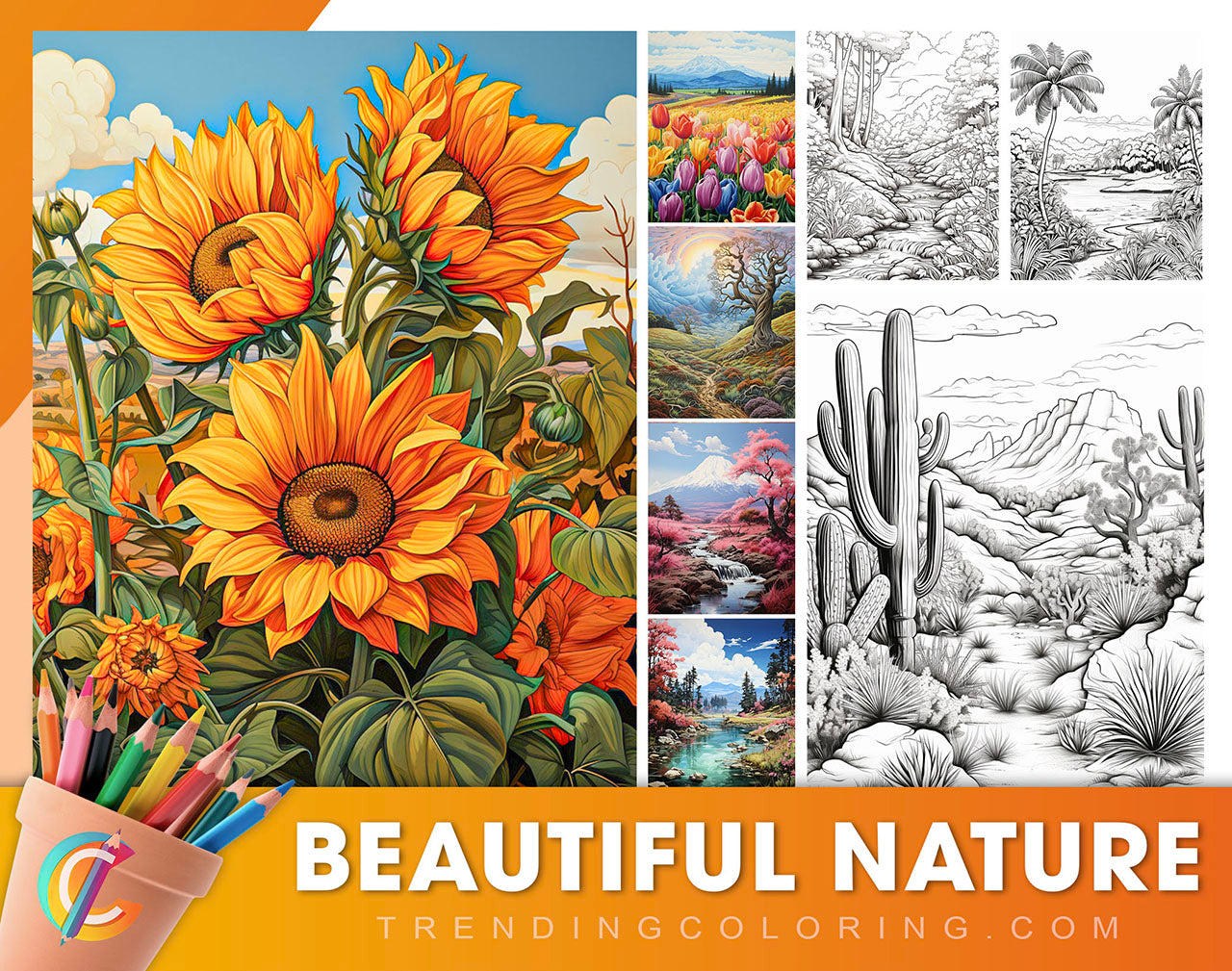 Beautiful Nature Coloring Pages – Trending Coloring