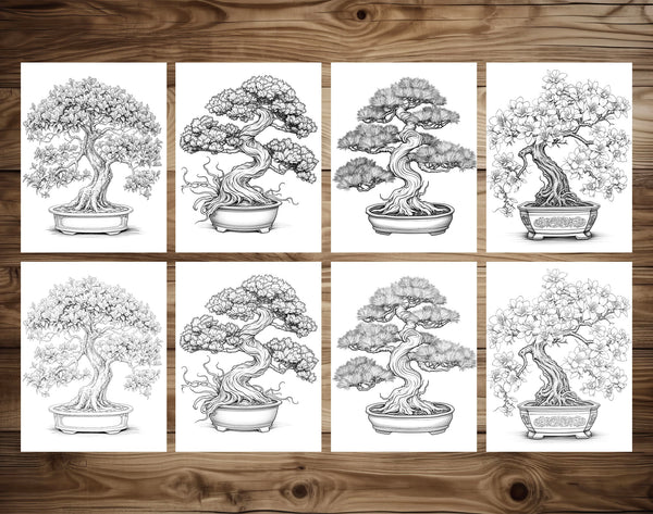 25 Bonsai Tree Grayscale Coloring Pages - Instant Download - Printable ...