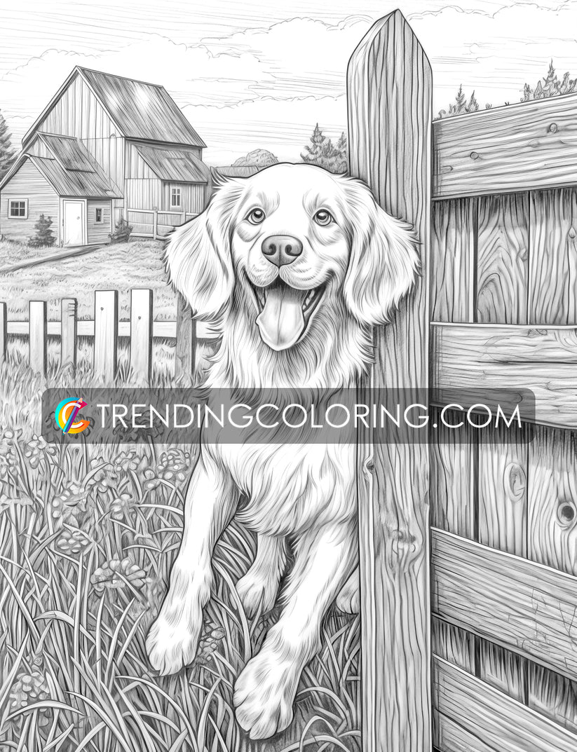 30 Country Farm Grayscale Coloring Pages - Instant Download - Printabl ...