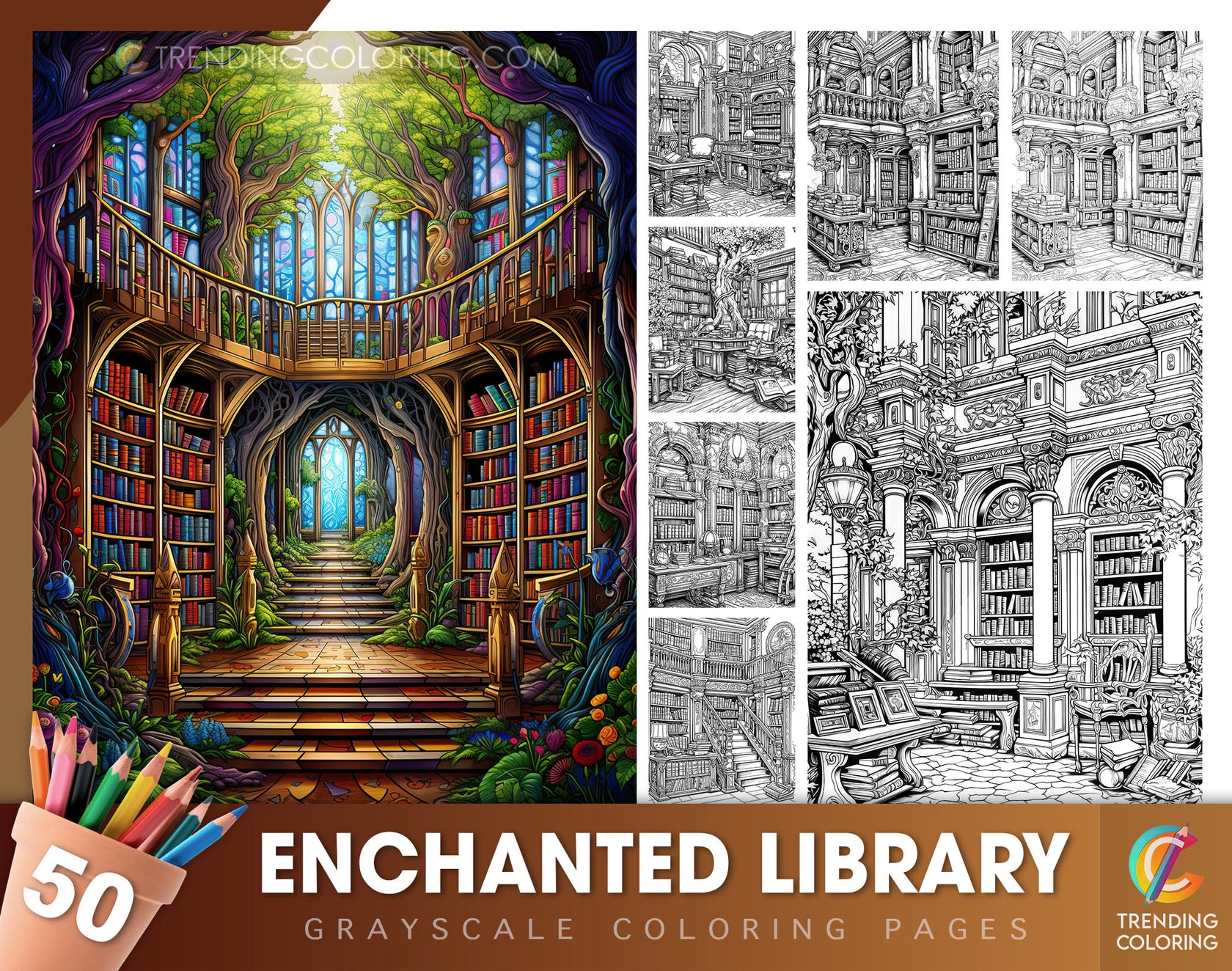 50 Enchanted Library Grayscale Coloring Pages - Instant Download - Pri ...