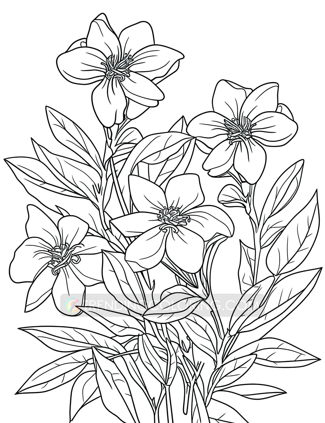 101 Floral Charm Coloring Pages - Instant Download - Printable ...