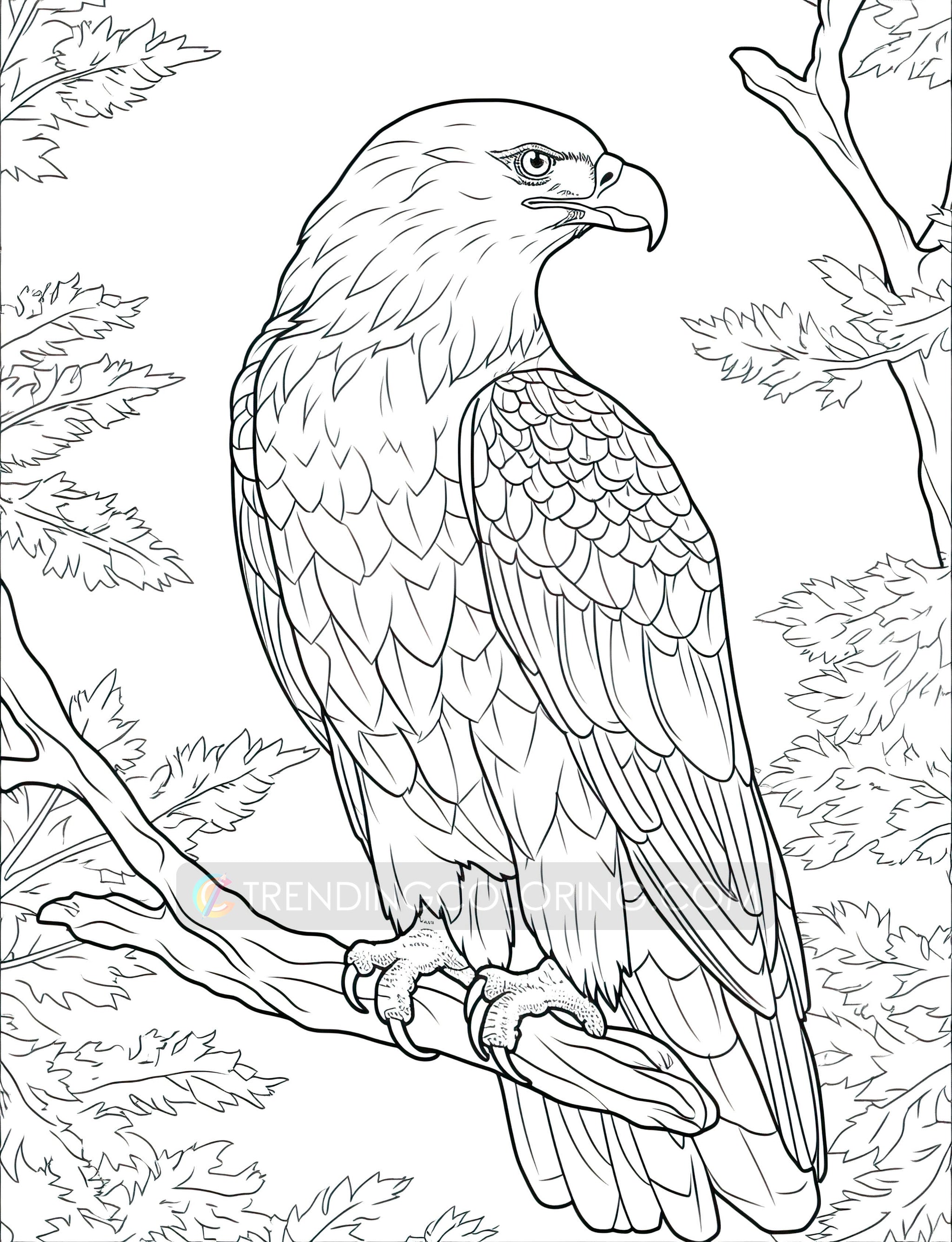 101 Amazing Animal Coloring Pages - Instant Download - Printable ...