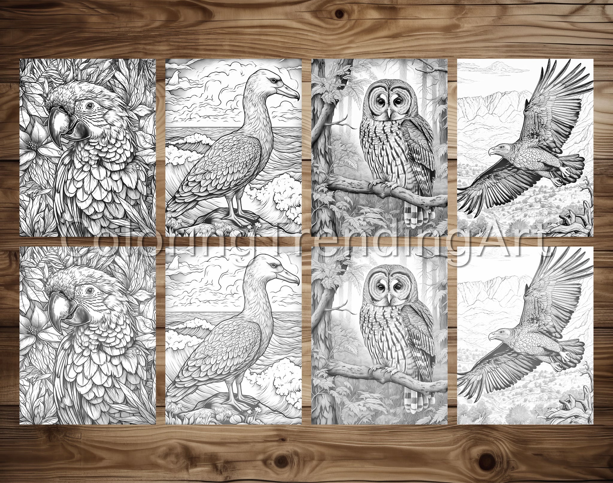 25 Amazing Birds Grayscale Coloring Pages - Printable PDF – Trending ...